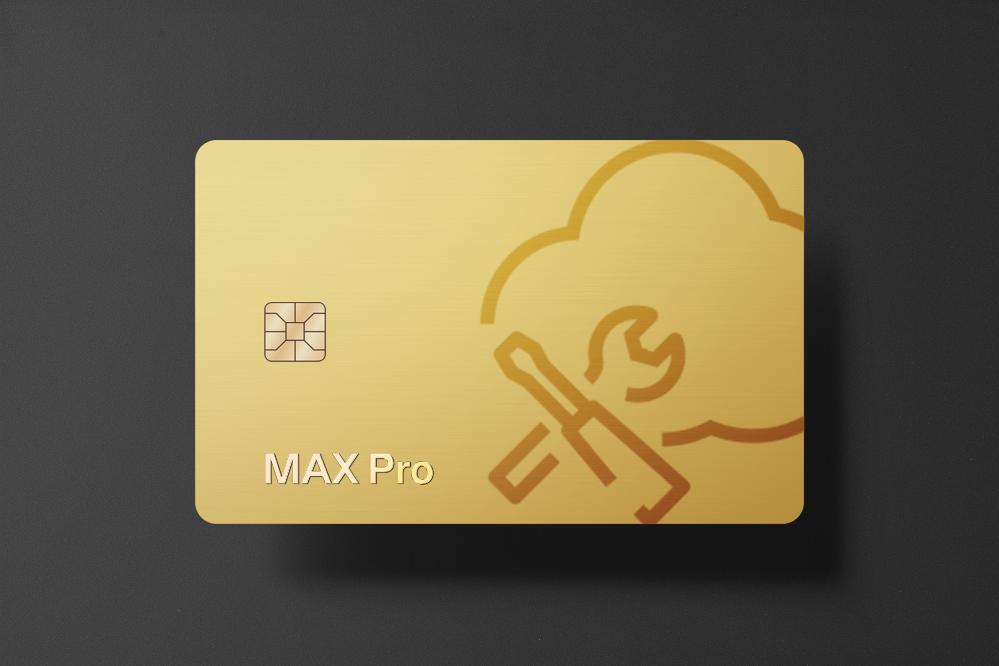 MAX Pro