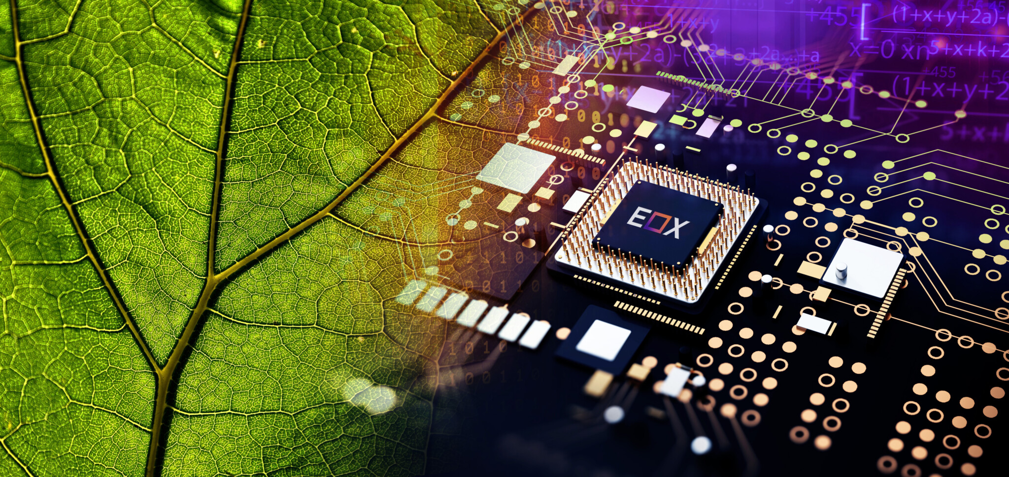 EOX digital product brochure